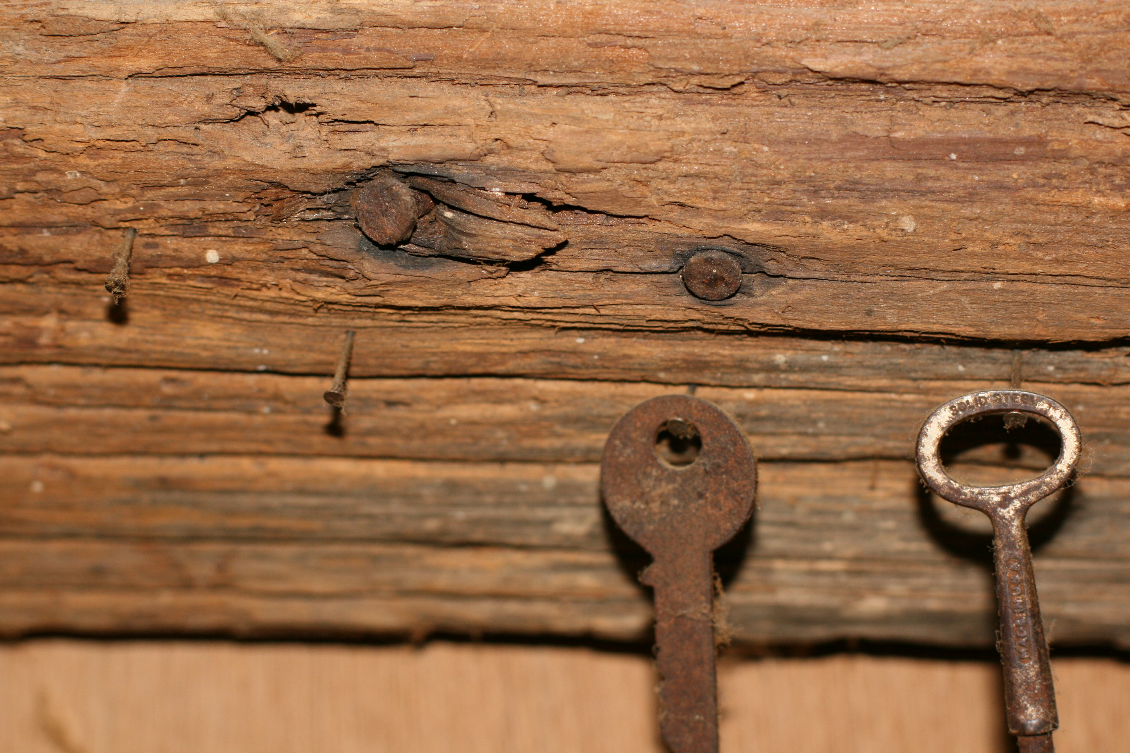 Steve Seals Photo Gallery