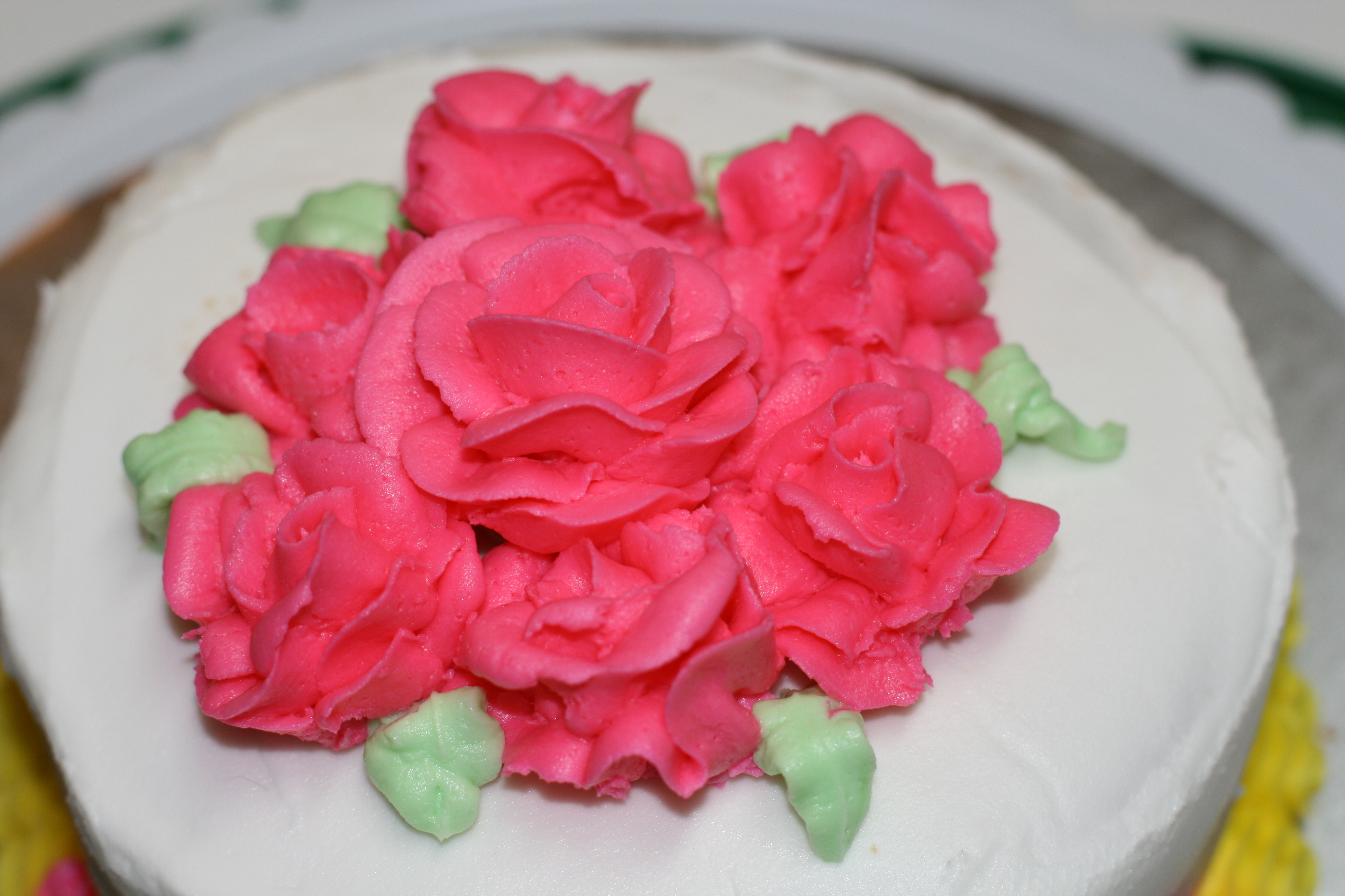 Steve Seals Photo Gallery